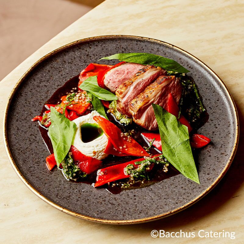 Hire Golden ash Plates - Options